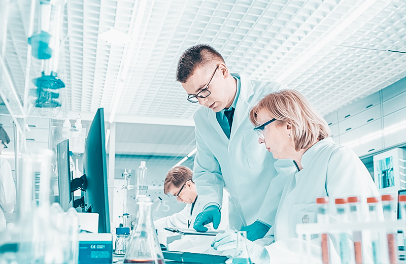 How STAEDEAN Supports the Vendor Qualification Process